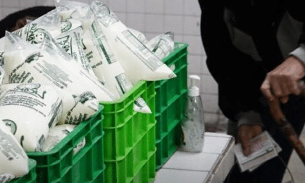 Leche de papel: se presume daño al erario por 202 millones en Liconsa